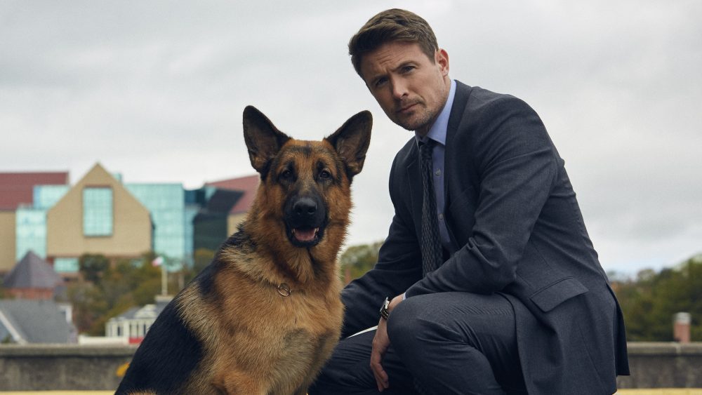 New Police Drama Pairs K9 And Cop The Innis Herald New Police Drama Pairs K9 And Cop The Innis Herald